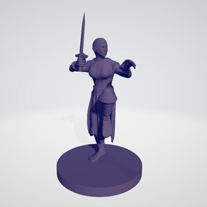 Human Female Monks | Acrobatic | Warrior | Butler | Ninja | Tabletop ...