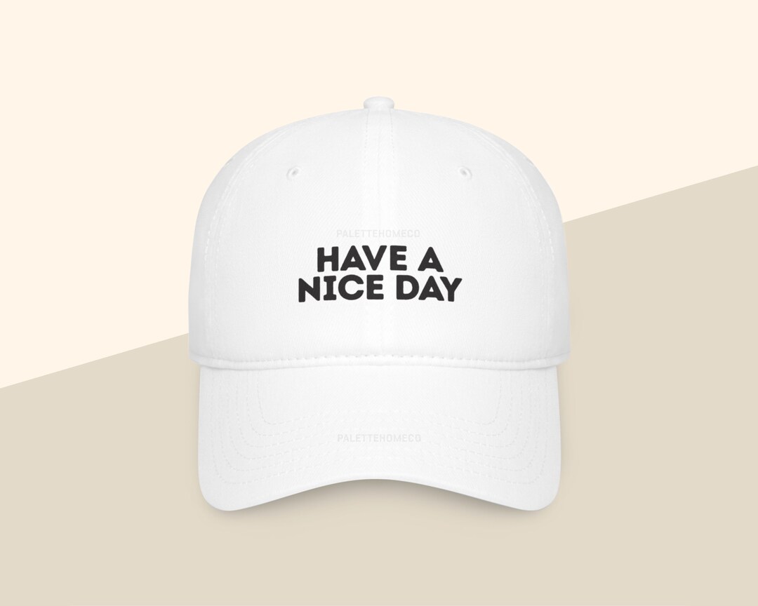 Have A Nice Day Hat, Have A Nice Day Cap, Gift for Introvert, Have A ...