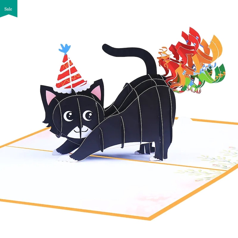 Cat Pop up Card - Etsy