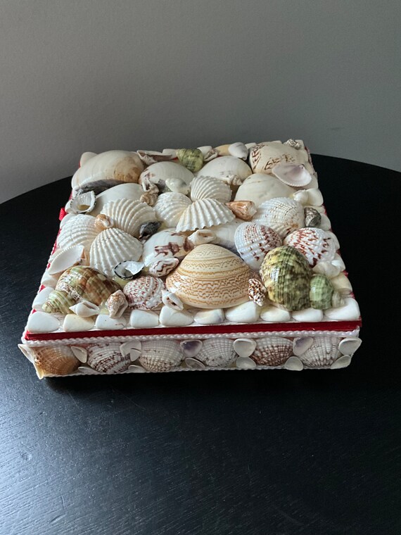 Shell jewelry trinket box - Gem