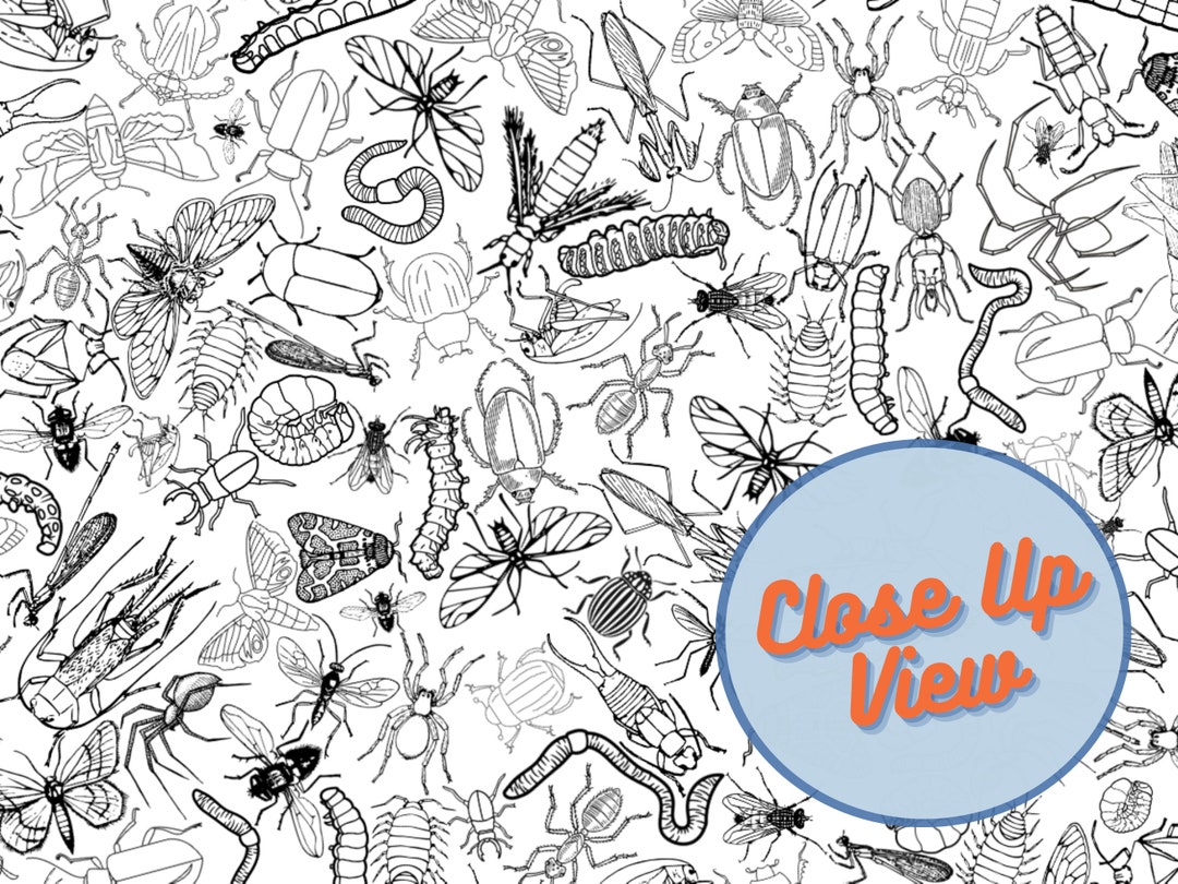 Bugs Coloring Pages | 2 Sizes Included | Printable Coloring Sheets ...
