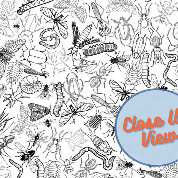 Bugs and Insects - Etsy