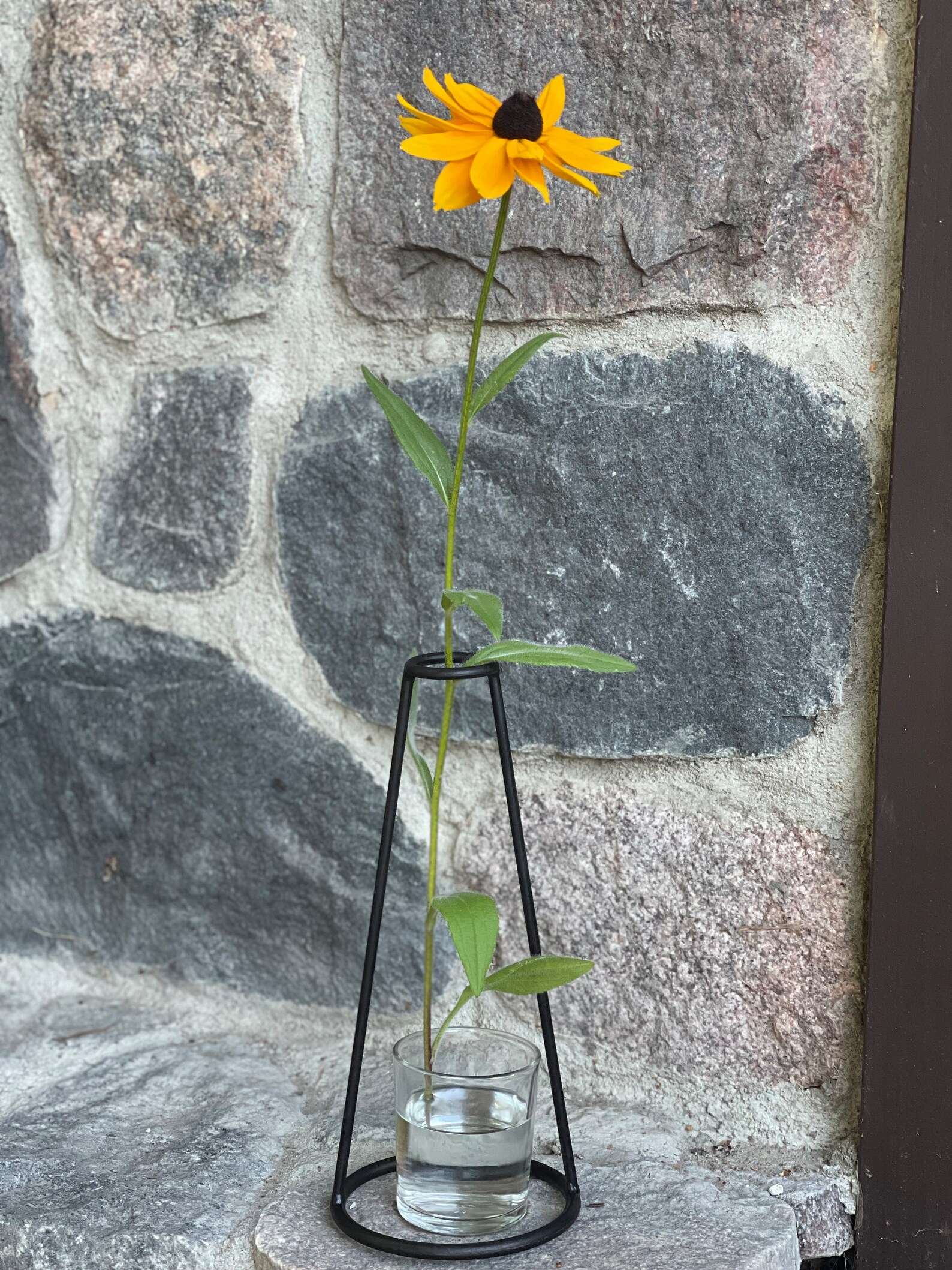 Black Metal Wire Outline Vase - Etsy