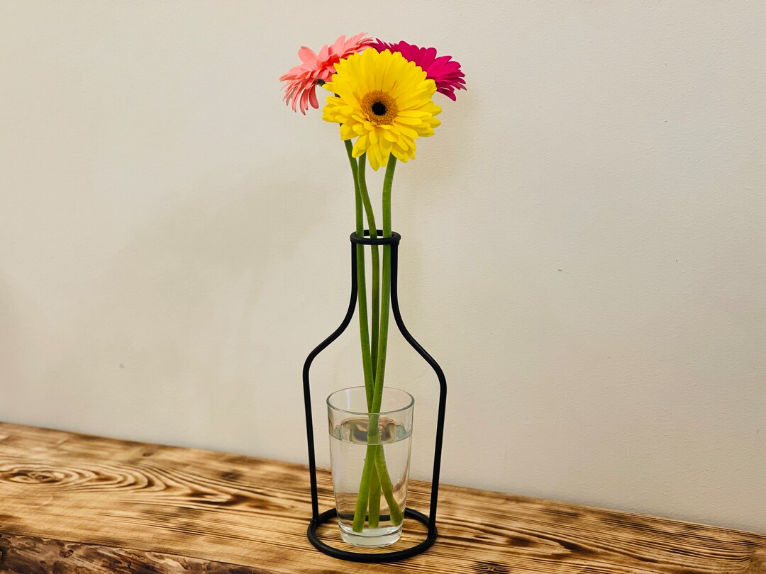 Glass Tube Vase, Minimalistic Hydroponic Planter, Nordic Black ...