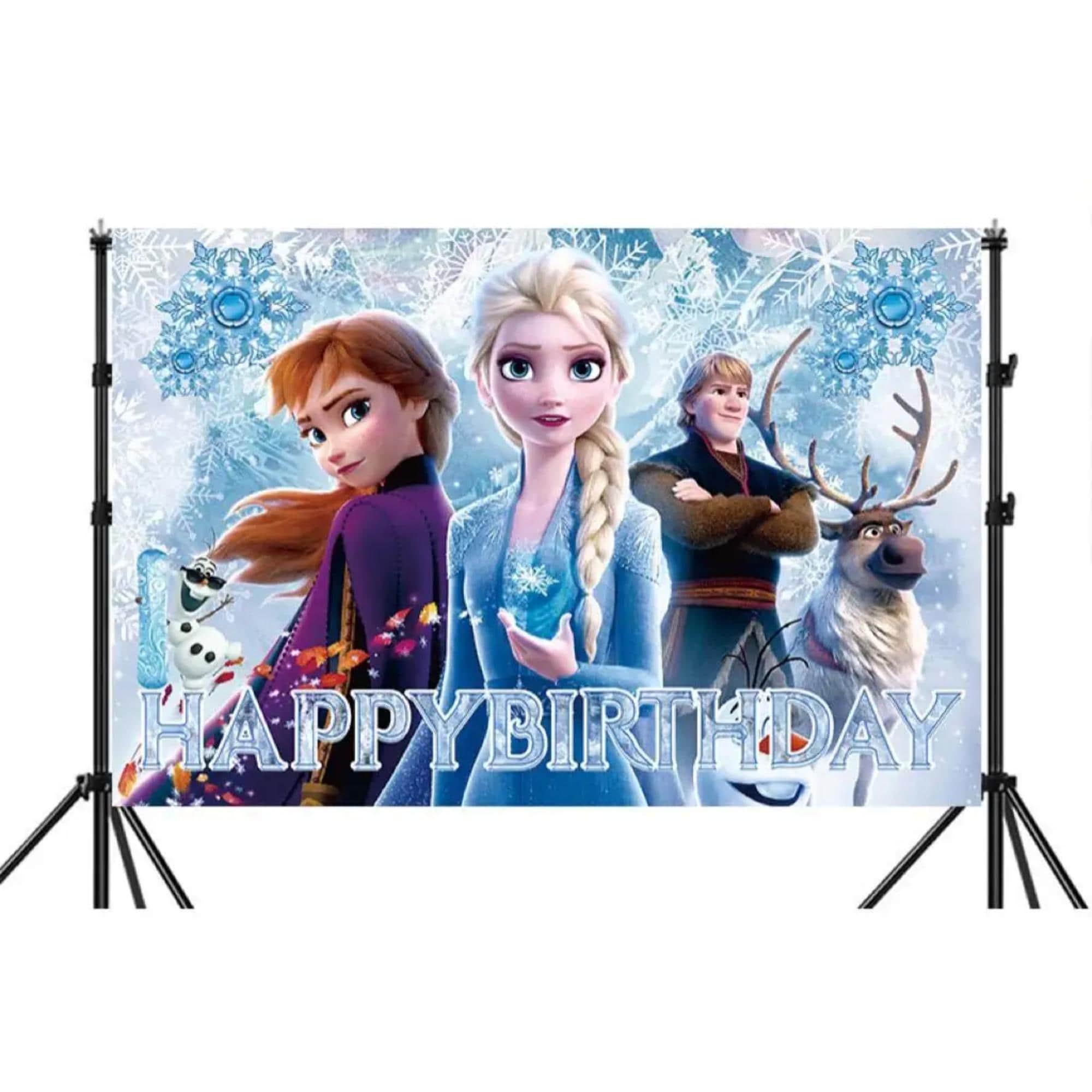 Frozen Birthday Party Photo Backdrop Decoration 5x3 Foot Size With ...