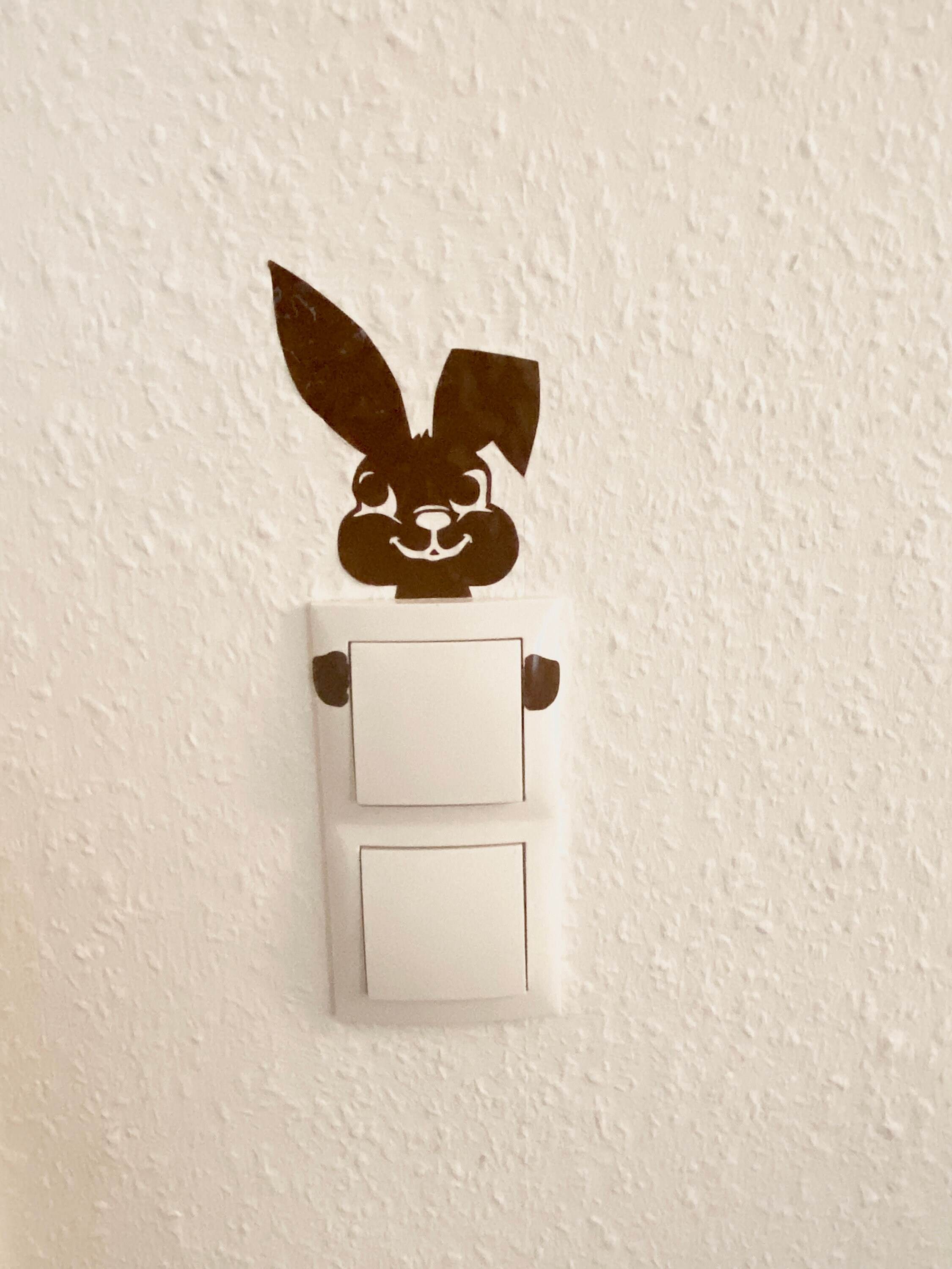 Socket Border Rabbit SVG PNG Cricut Brother Canvas Silhouette Digital ...