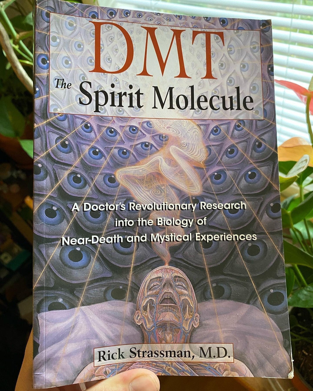 DMT the Spirit Molecule by Rick Strassman - Illustration of the Dmt ...