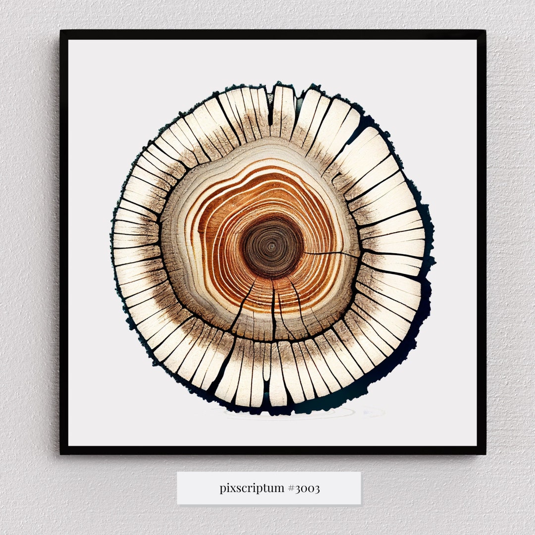 Nature-inspired Minimalist Tree Ring Wall Art: Cross-section of Tree ...
