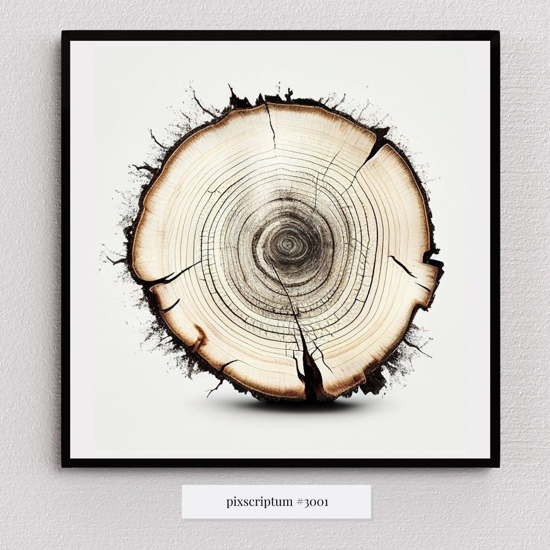 Tree Rings Wall Art: Cross Section of Tree Trunk With Visible Growth ...
