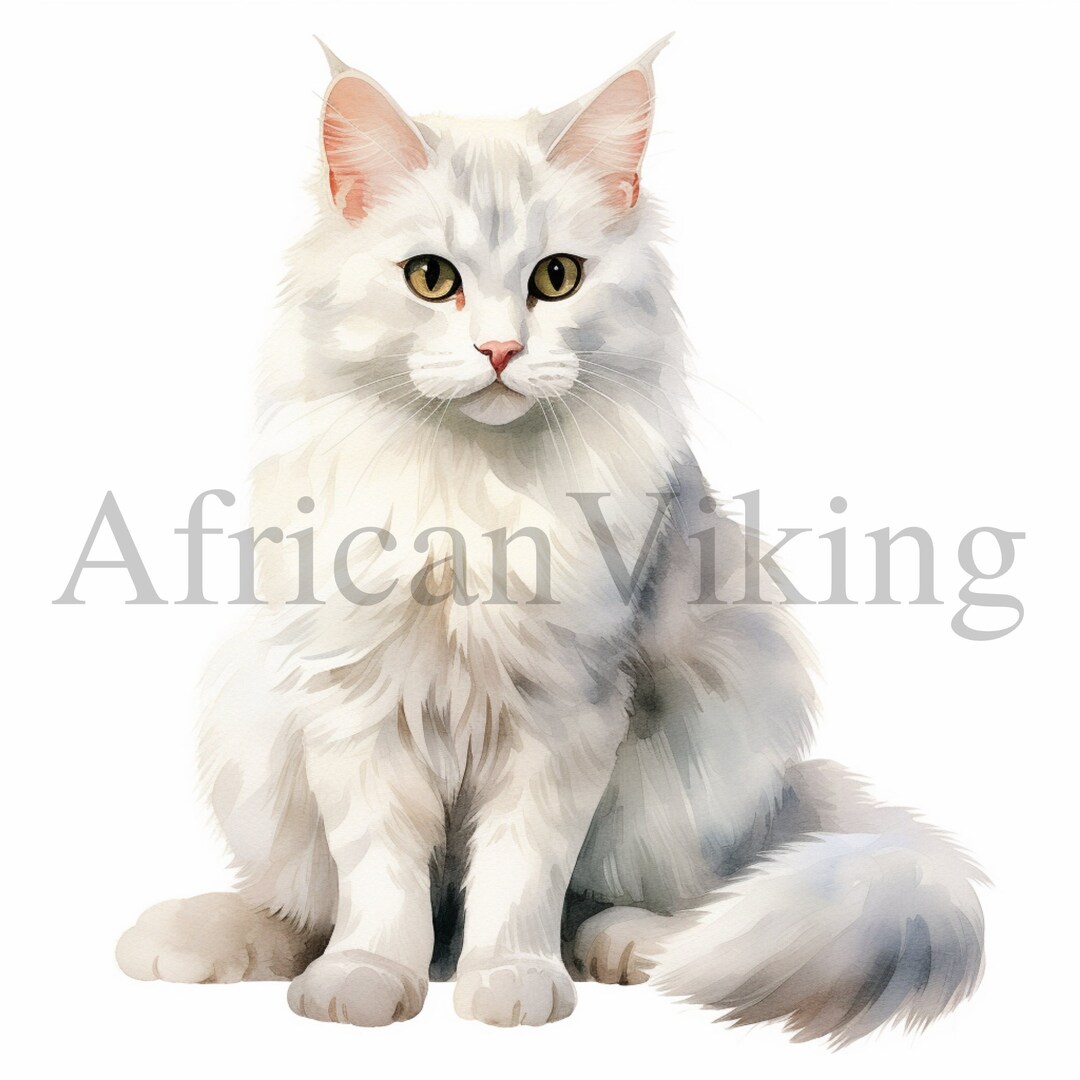 White Cats Clipart 10 High Quality Jpgs Digital Download Digital Paper ...