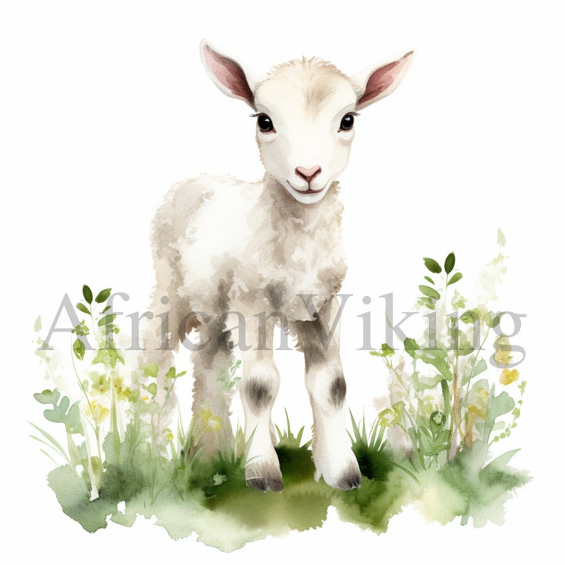 Baby Lamb Clipart | 10 High Quality Jpgs | Instant Digital Download ...