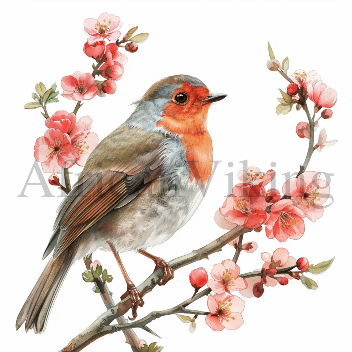 Robin Bird Spring Blossom Clipart | Nursery Art (digital Download) - Etsy