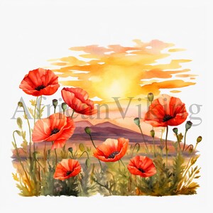 Sunset Poppy Fields Clipart | 10 High Quality Jpgs | Digital Download ...