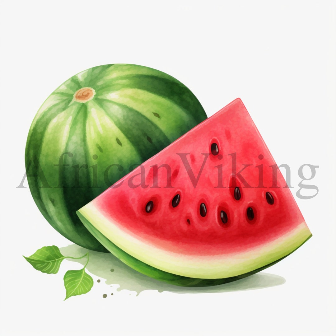 Watermelon Clipart 10 High Quality Jpgs Digital Download Card Making ...