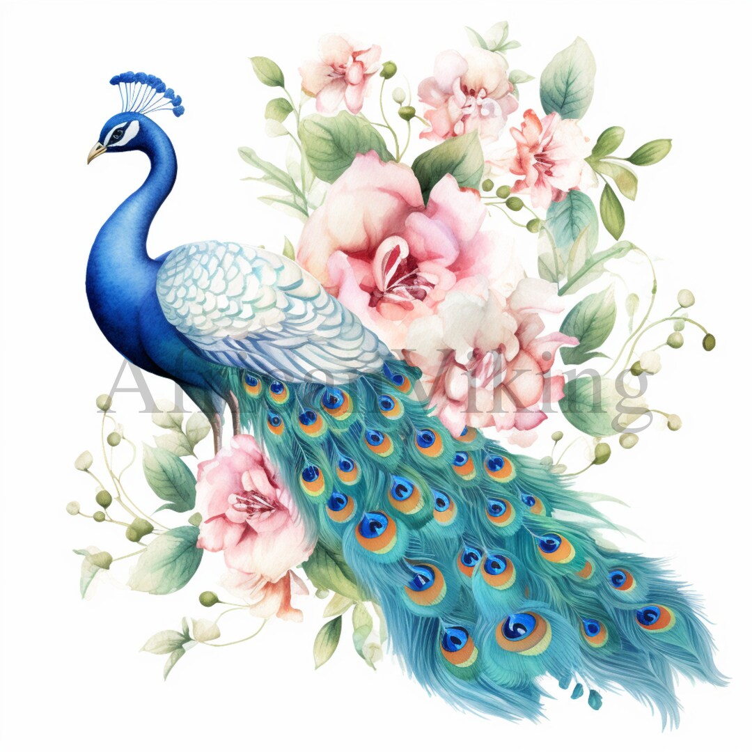 Floral Peacock Clipart | 10 High Quality Jpgs | Nursery Art | Card ...