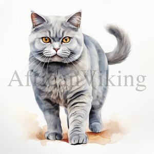 British Shorthair Cats Clipart | 10 High Quality Jpgs | Digital ...