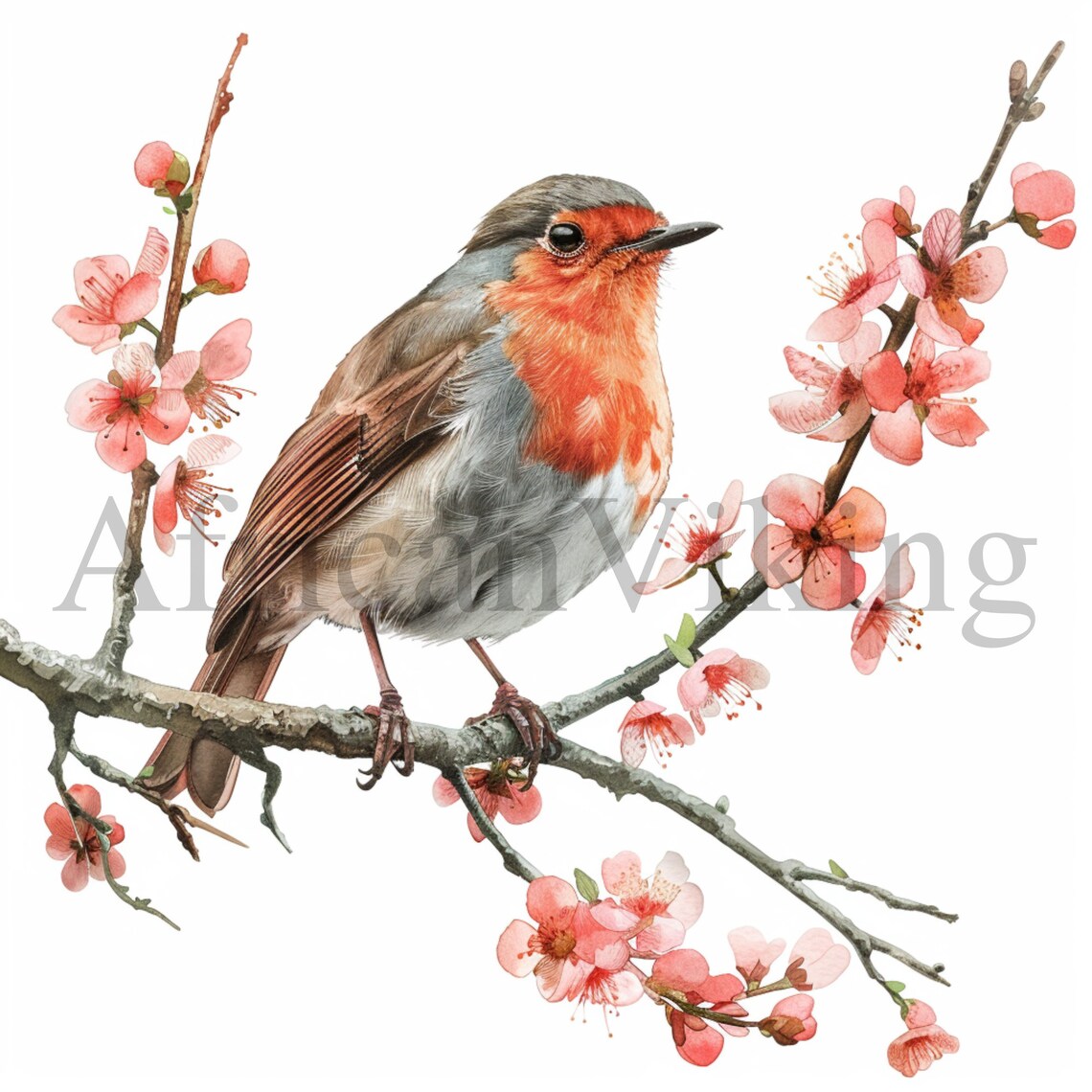Robin Bird Spring Blossom Clipart | Nursery Art (digital Download) - Etsy