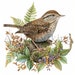 Wren Clipart | 10 High Quality Jpgs | Digital Download | Card Making ...