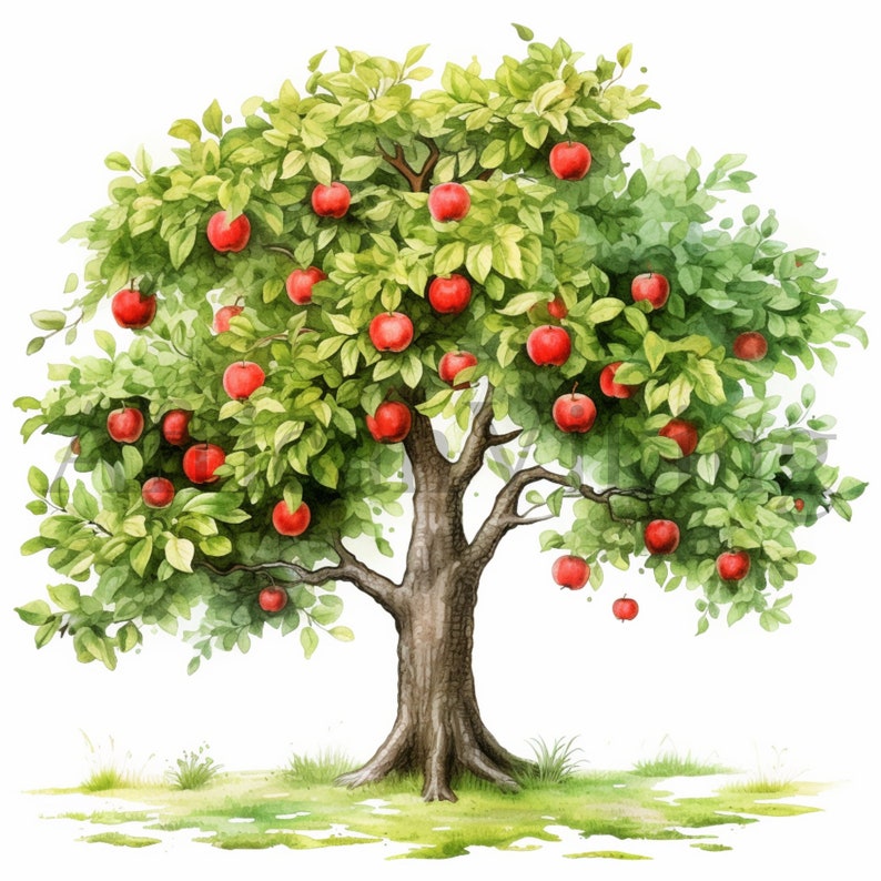 Watercolor Apple Trees Clipart 10 High Quality Jpgs Digital Download ...
