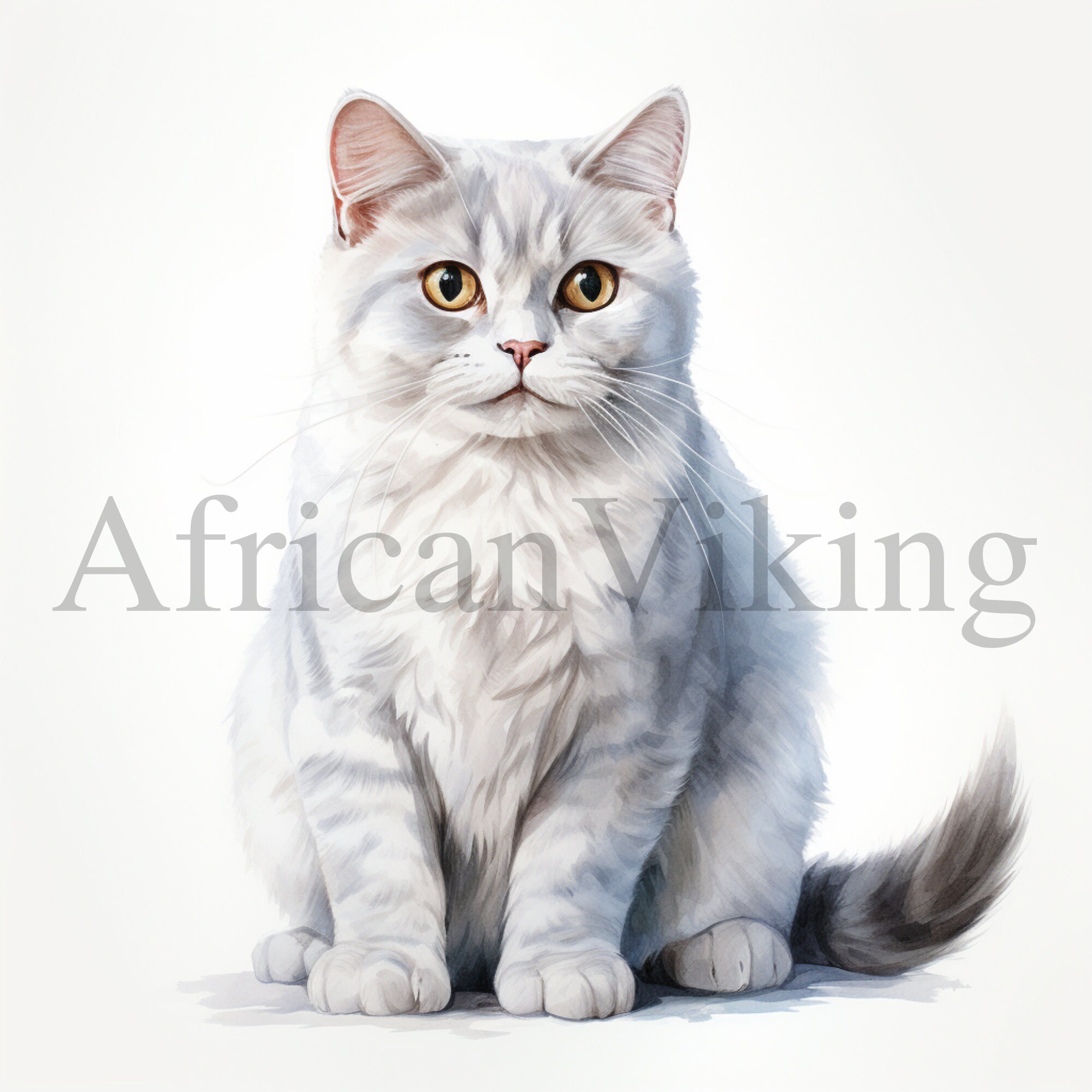 British Shorthair Cats Clipart 10 High Quality Jpgs Digital Download ...