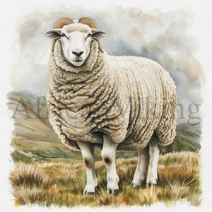 Sheep Clipart: Farm Animal Jpgs for Nursery Art (digital Download) - Etsy