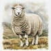 Sheep Clipart: Farm Animal Jpgs for Nursery Art (digital Download) - Etsy