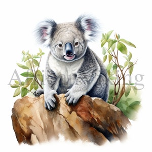 Watercolor Koala Clipart 10 High Quality Jpgs Digital Download ...
