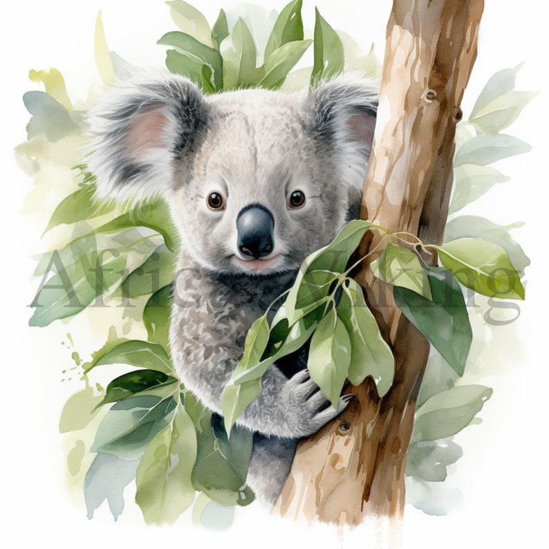Watercolor Koala Clipart | 10 High Quality Jpgs | Digital Download ...