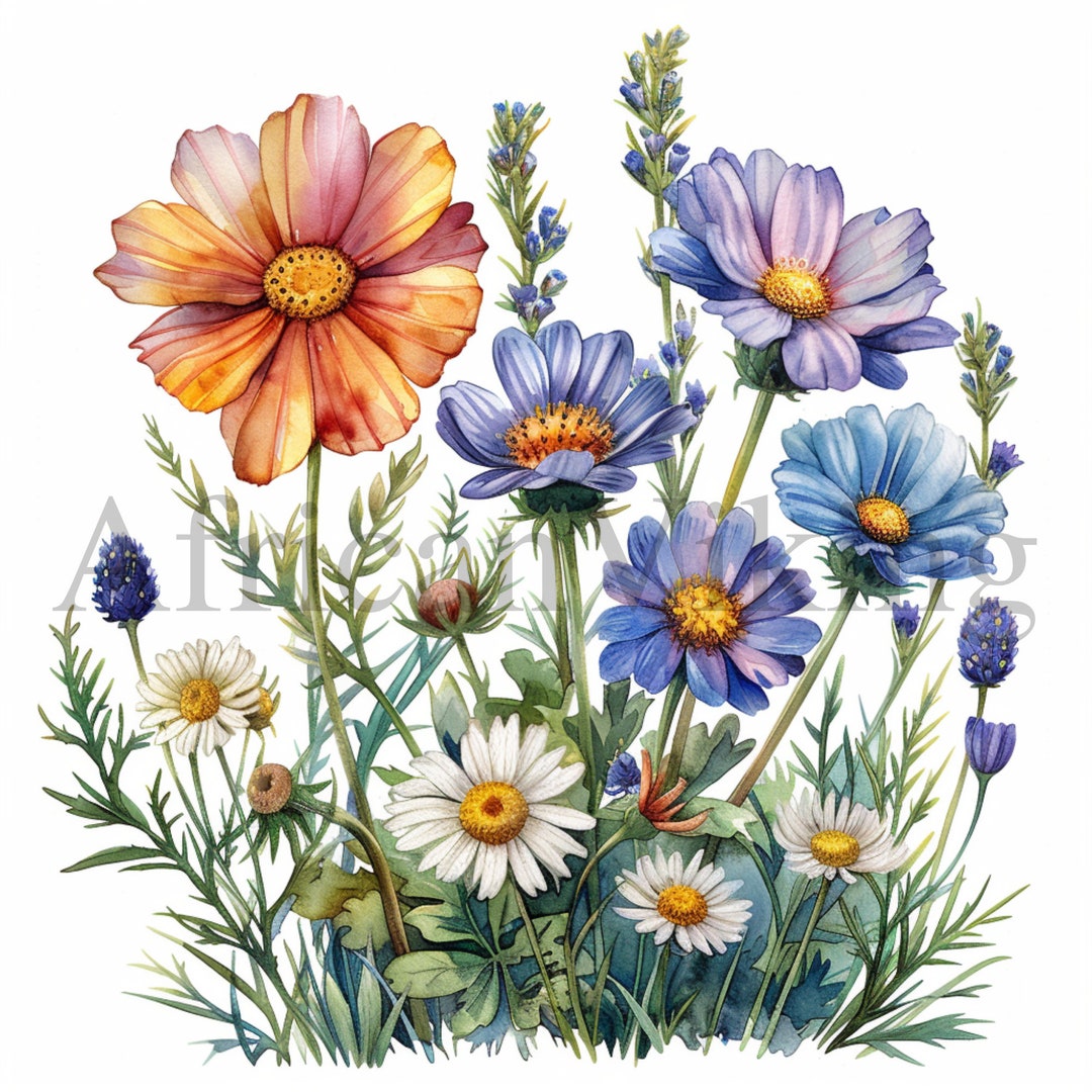 Watercolor Wildflowers Clipart | 10 High Quality Jpgs | Instant Digital ...