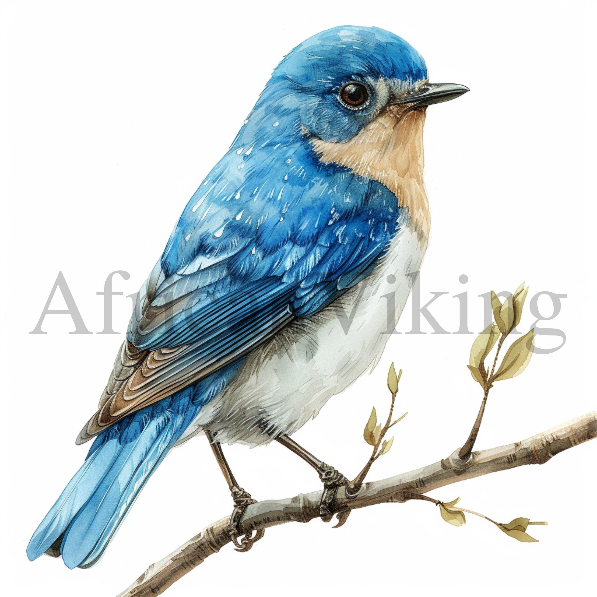 Watercolor Blue Bird Clipart 10 High Quality Jpgs Digital Download ...