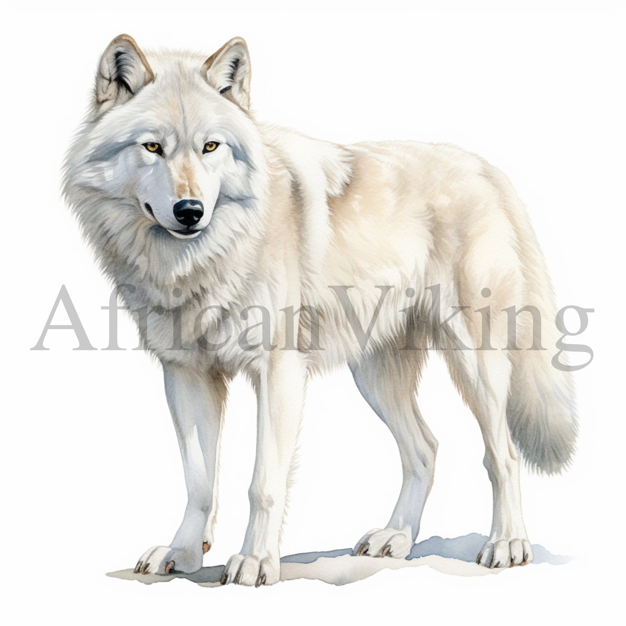White Wolf Clipart 10 High Quality Jpgs Digital Download Digital Paper ...
