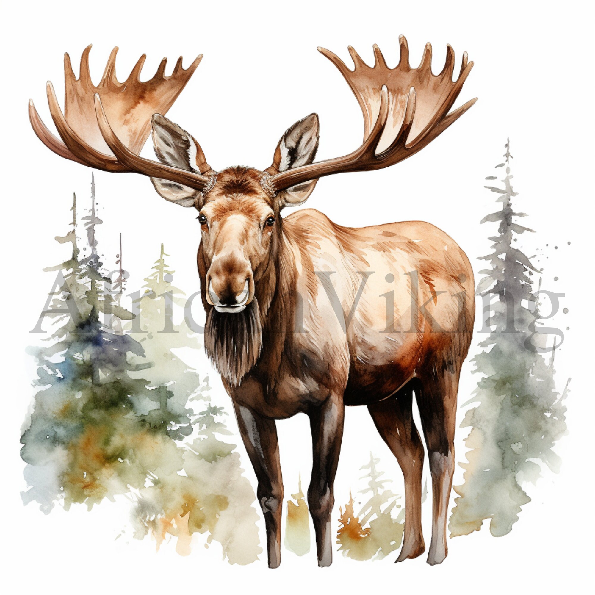 Moose Clipart 10 High Quality Jpgs Card Making Animal Clipart Digital ...