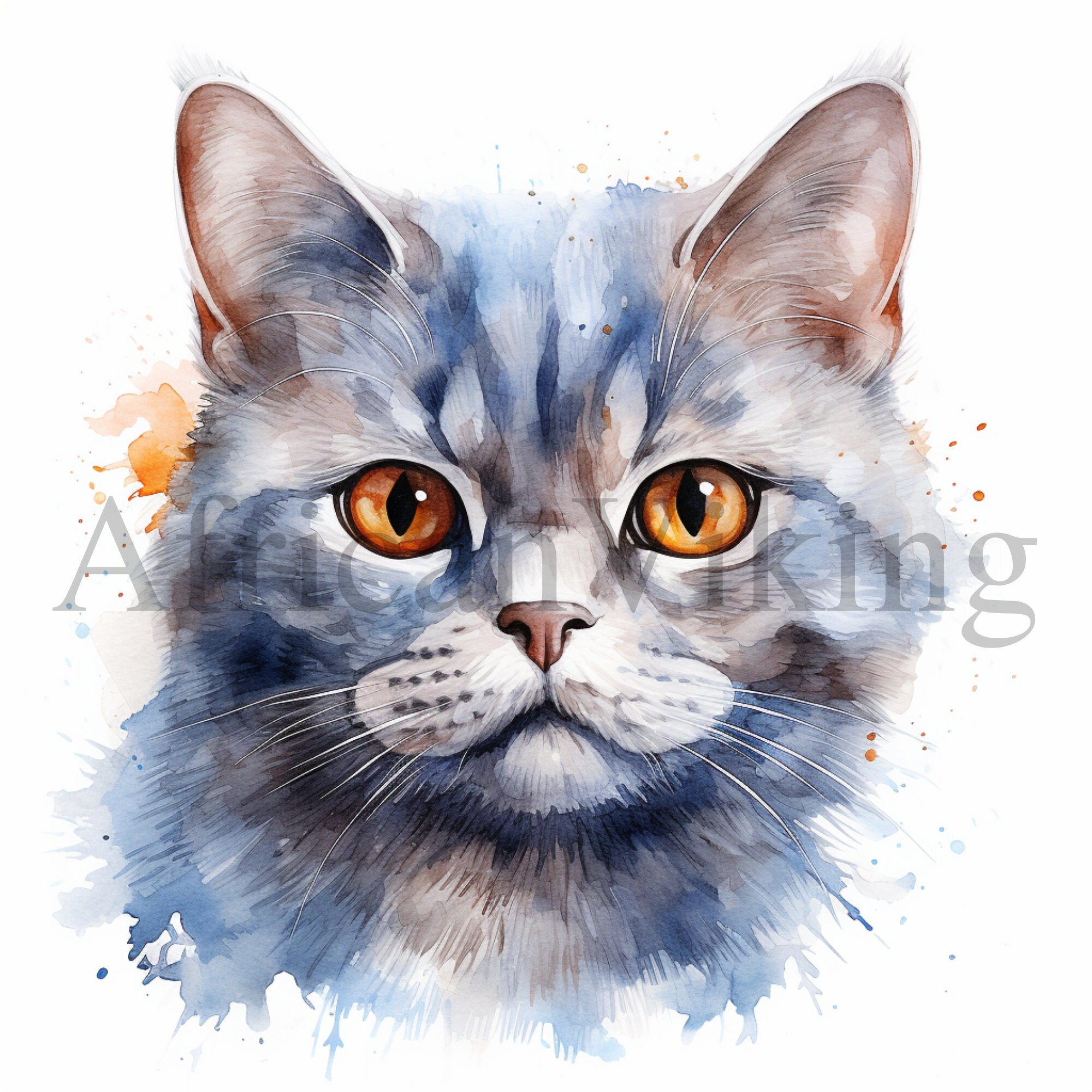 British Shorthair Cats Clipart 10 High Quality Jpgs Digital Download ...