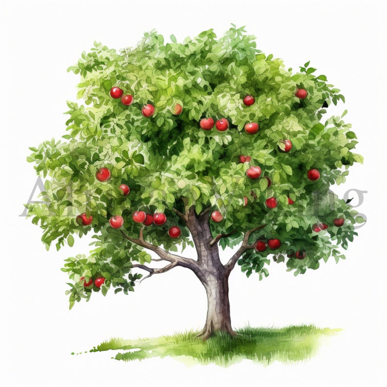 Apple Trees Clipart 10 High Quality Jpgs Digital Download Apple Tree ...