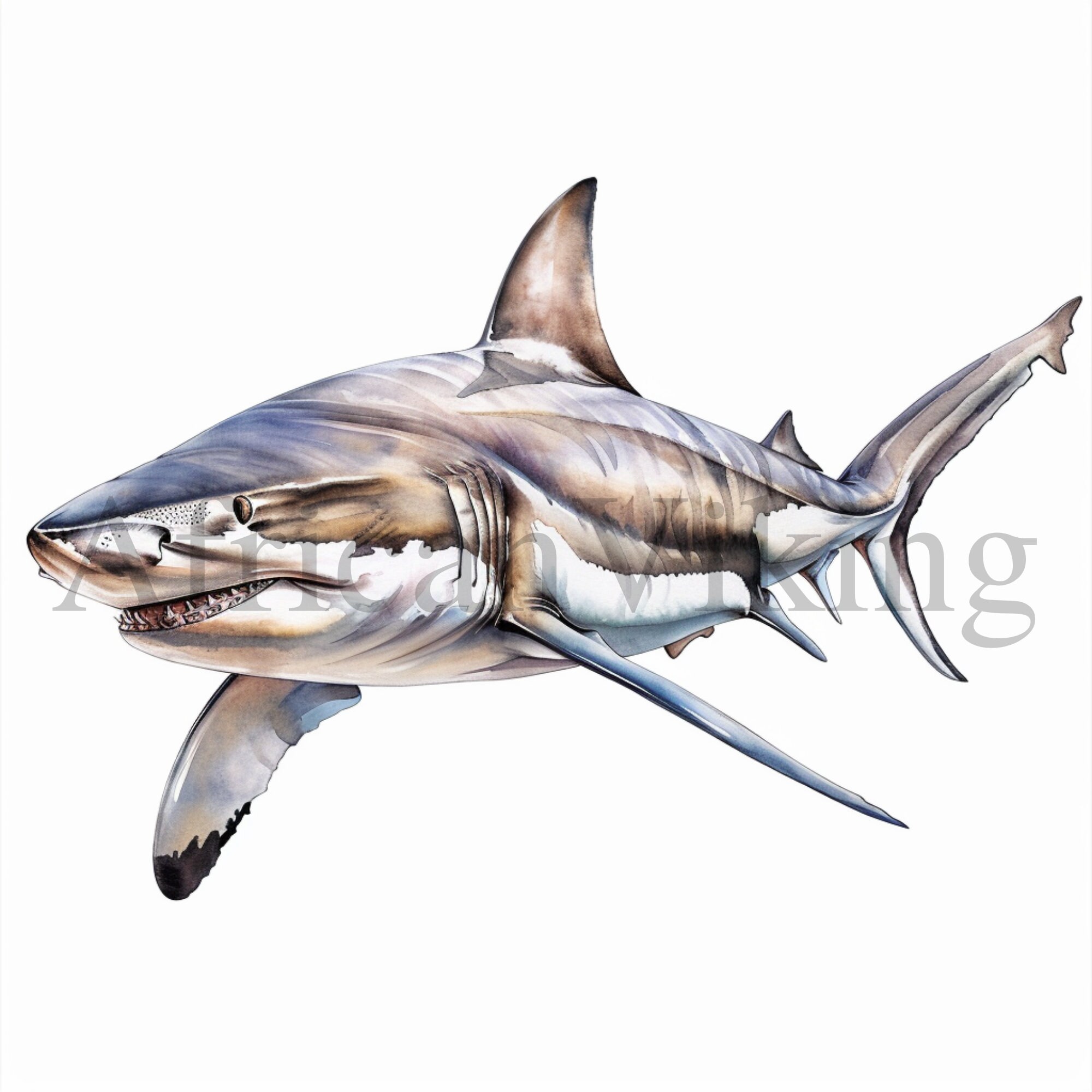 Shark Clipart 10 High Quality Jpgs Digital Download Digital Paper Craft ...
