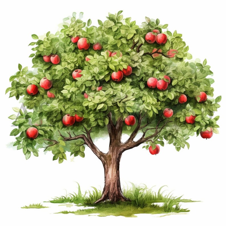 Watercolor Apple Trees Clipart 10 High Quality Jpgs Digital Download ...