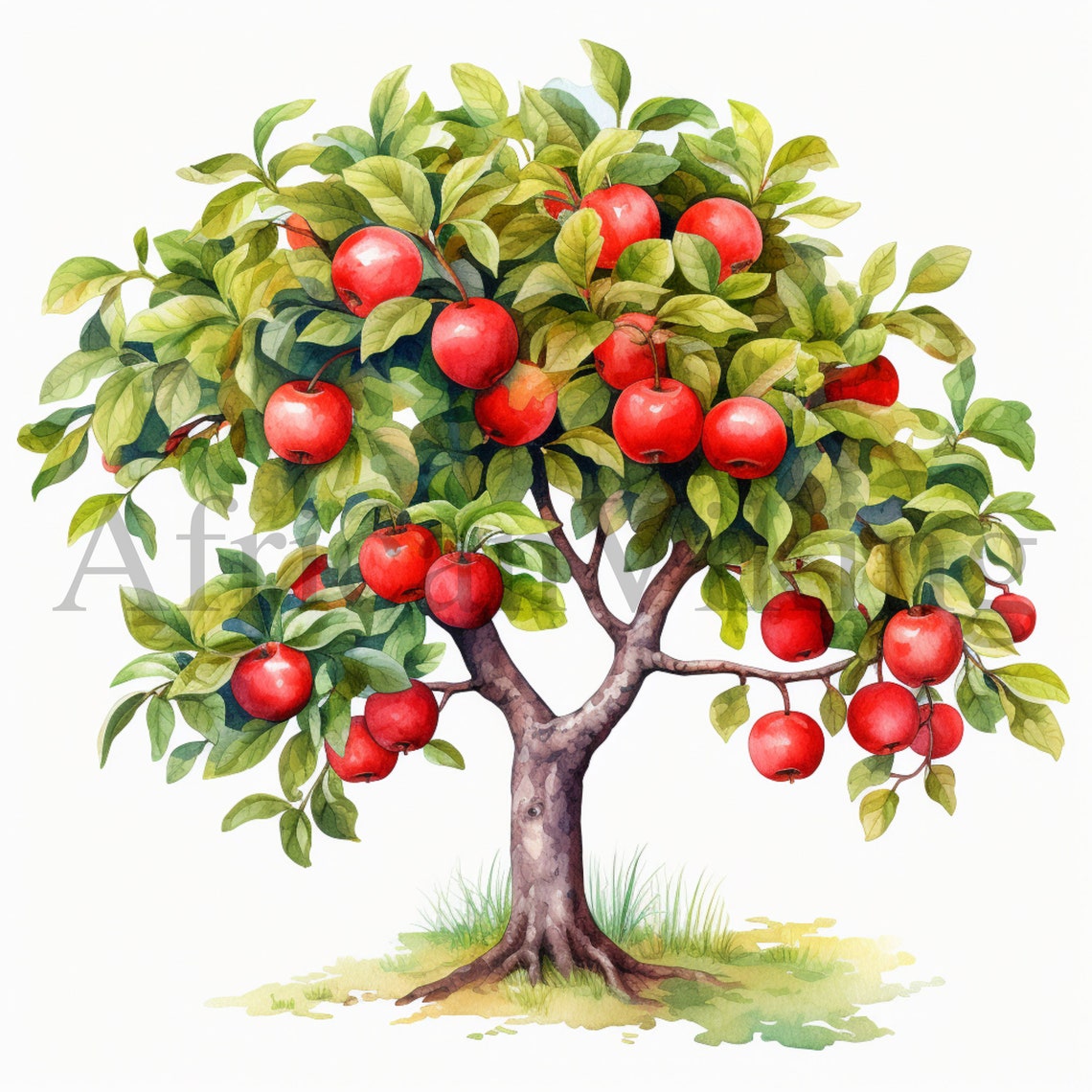 Apple Trees Clipart 10 High Quality Jpgs Digital Download Apple Tree ...