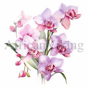 Orchid Clipart | 10 High Quality Jpgs | Digital Download | Scrapbooking ...