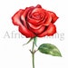 Red Rose Clipart | 10 High Quality Jpgs | Digital Download | Card ...