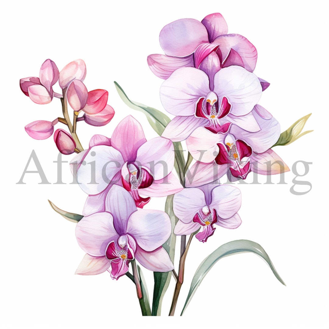 Orchid Clipart | 10 High Quality Jpgs | Digital Download | Scrapbooking ...