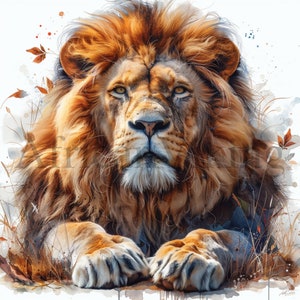 Lion Clipart | 10 High Quality Jpgs | Nursery Art | Instant Digital ...