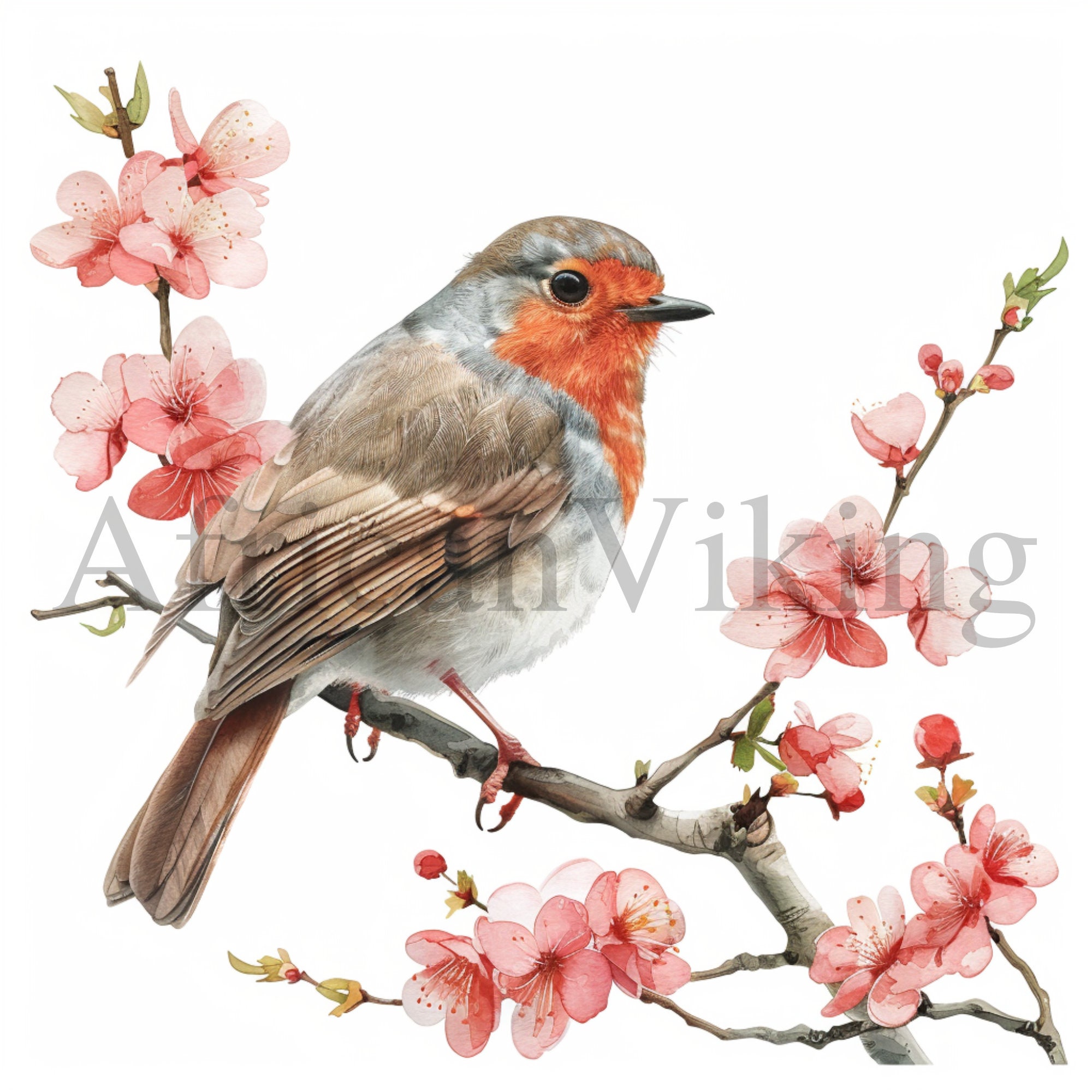 Robin Bird Spring Blossom Clipart | Nursery Art (digital Download) - Etsy