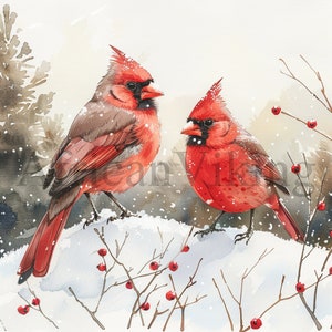 Watercolor Winter Red Cardinals Clipart | 10 High Quality Jpgs ...