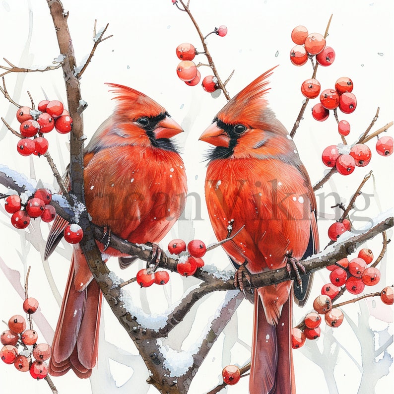Watercolor Winter Red Cardinals Clipart | 10 High Quality Jpgs ...