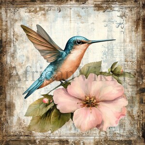 Hummingbird Papers | 10 High Quality Jpgs | Digital Download | Vintage ...