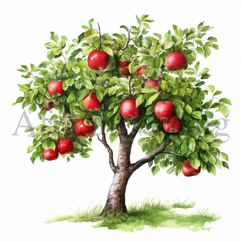 Apple Trees Clipart | 10 High Quality Jpgs | Digital Download | Apple ...