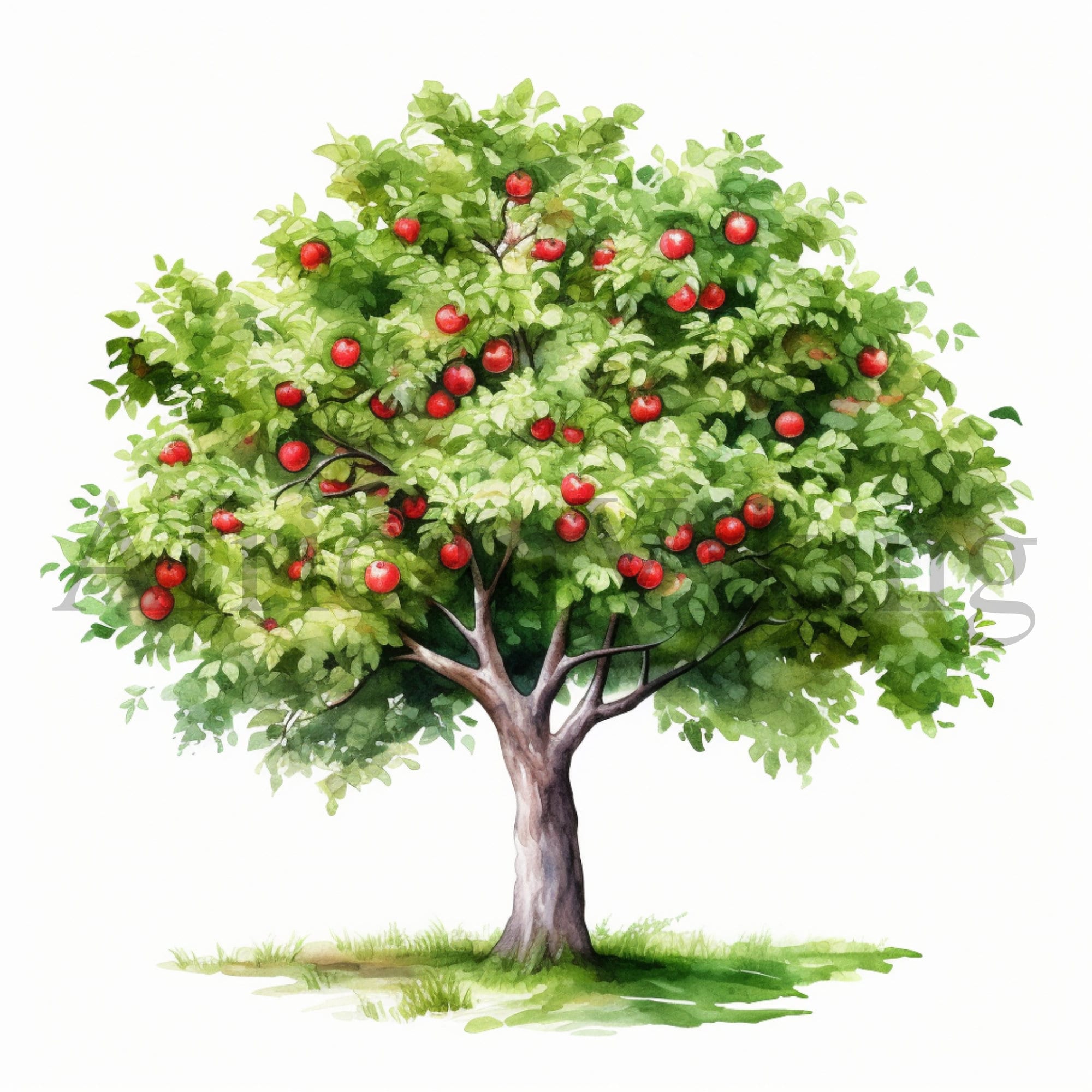 Apple Trees Clipart 10 High Quality Jpgs Digital Download Apple Tree ...