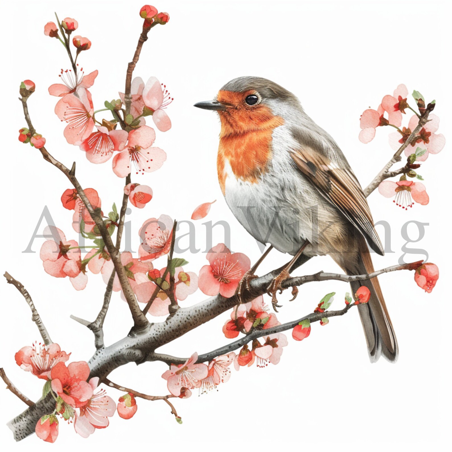 Robin Bird Spring Blossom Clipart | Nursery Art (digital Download) - Etsy