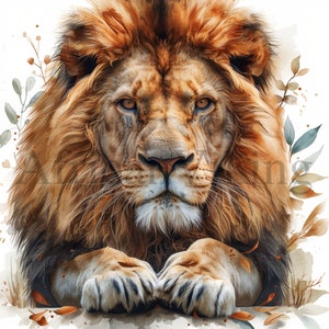 Lion Clipart | 10 High Quality Jpgs | Nursery Art | Instant Digital ...
