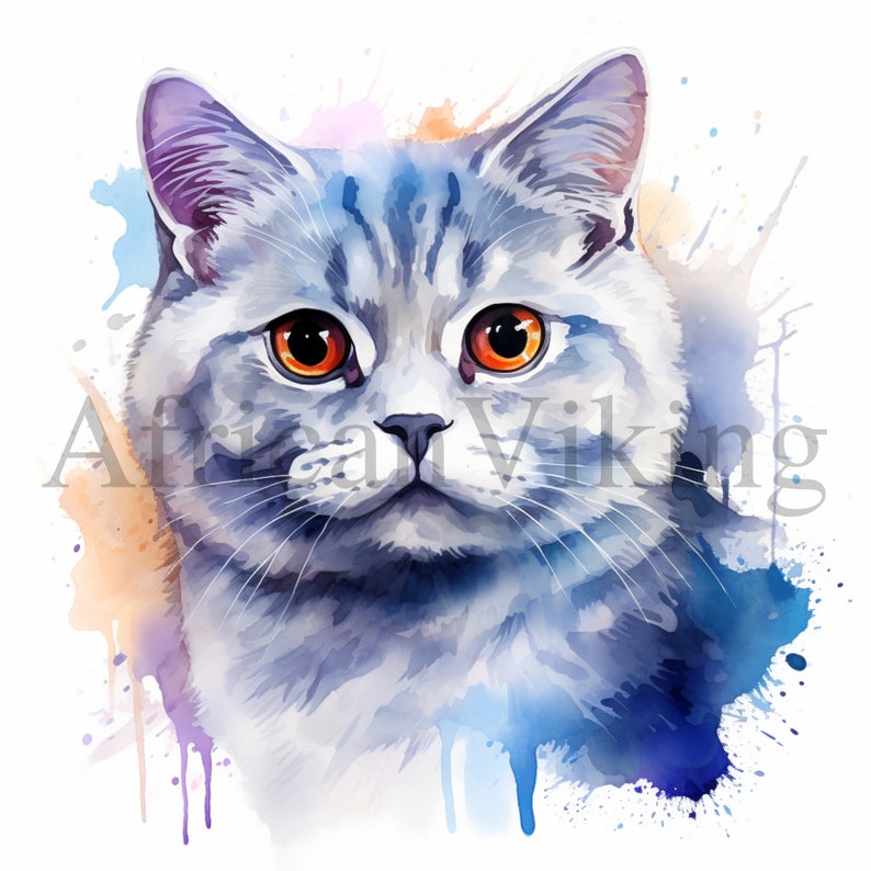 British Shorthair Cats Clipart 10 High Quality Jpgs Digital Download ...